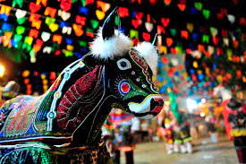 Dança do Boi-Bumbá - Tudo sobra a dança típica do Amazonas